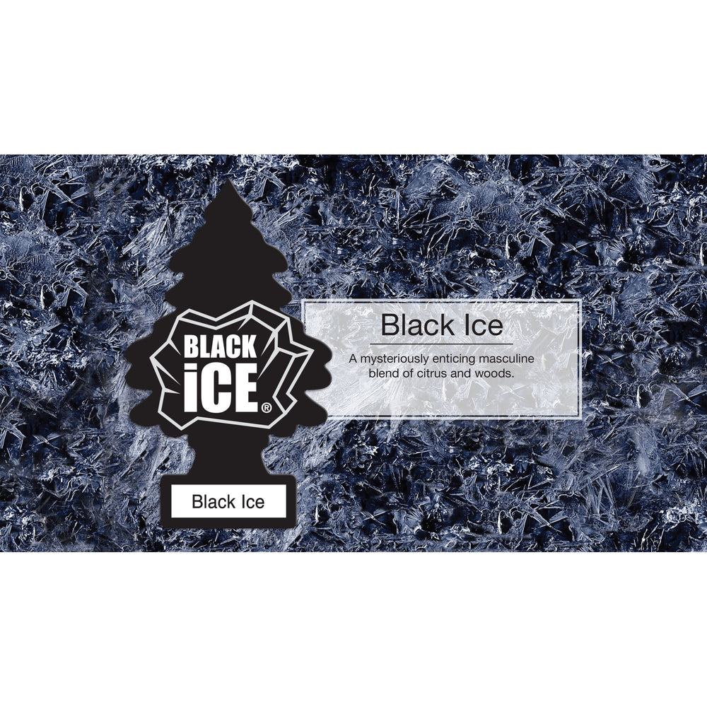 Little Trees Air Freshener- Black Ice (24 Count) | Wholesale Pricing